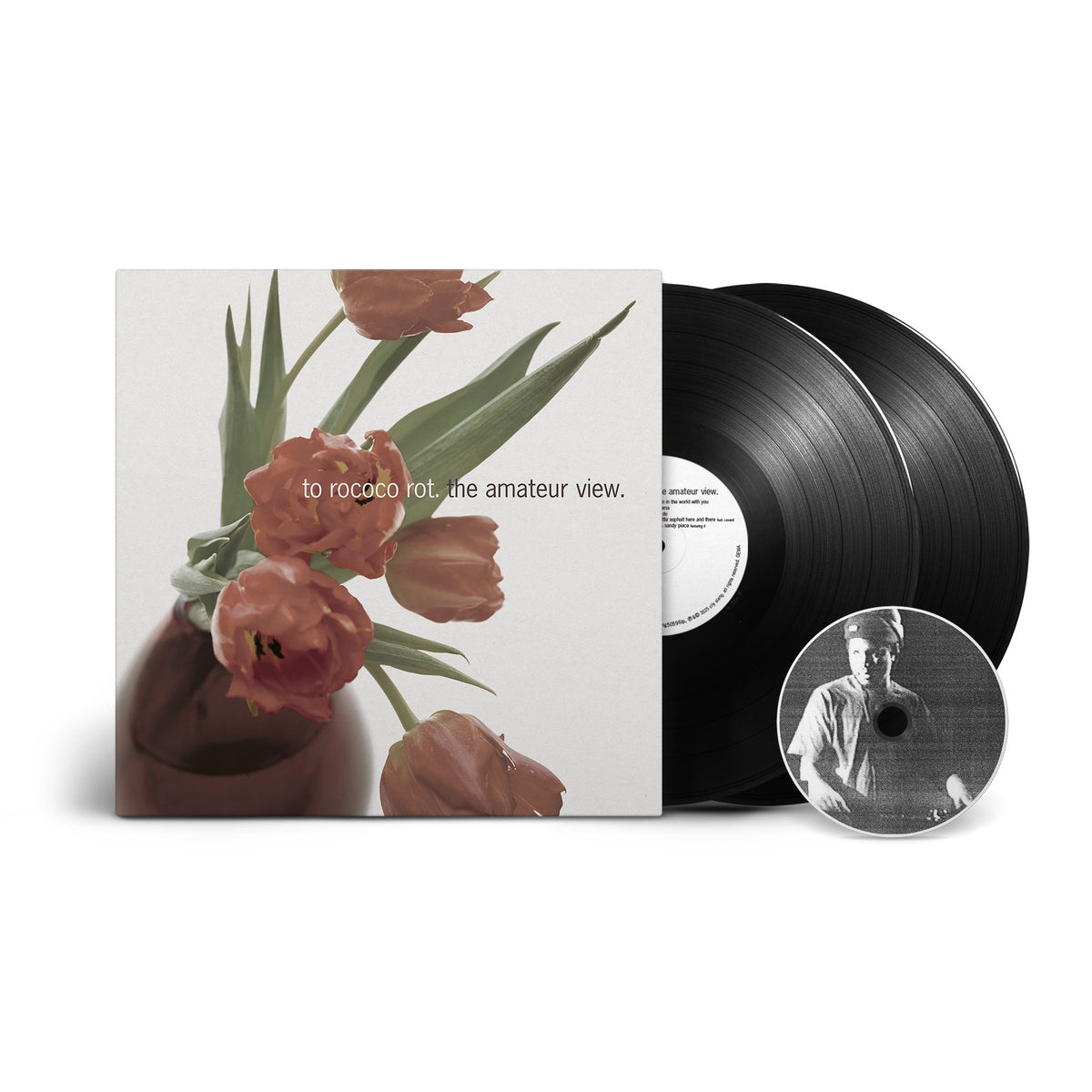 To Rococo Rot | The Amateur View (Expanded Edition) [Limited Deluxe 2LP ...